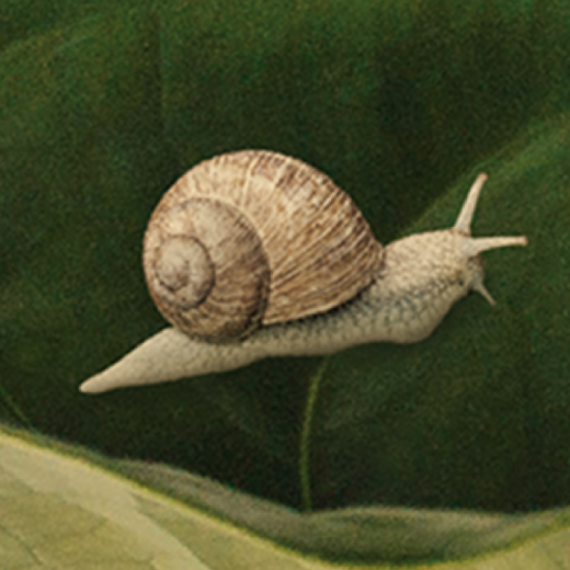 Elensilia - DESIGNER MONGING