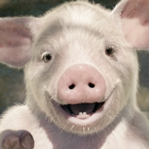 OASIS STUDIO - DESIGNER MONGING